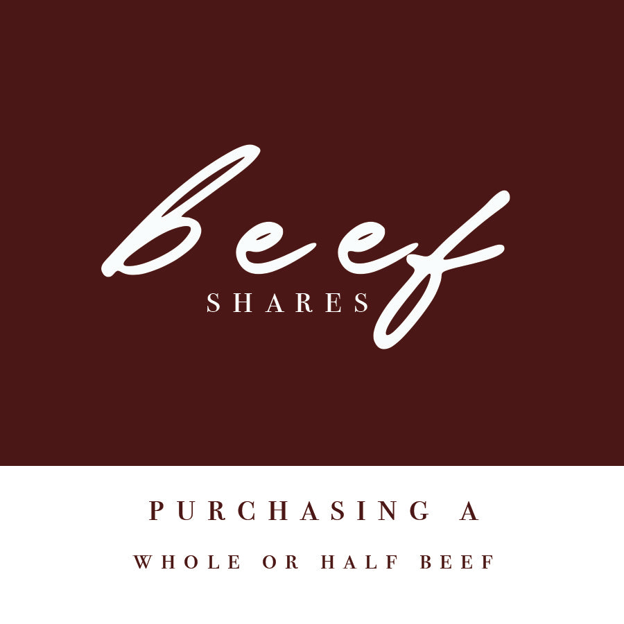 Beef Shares – 111 Beef Republic